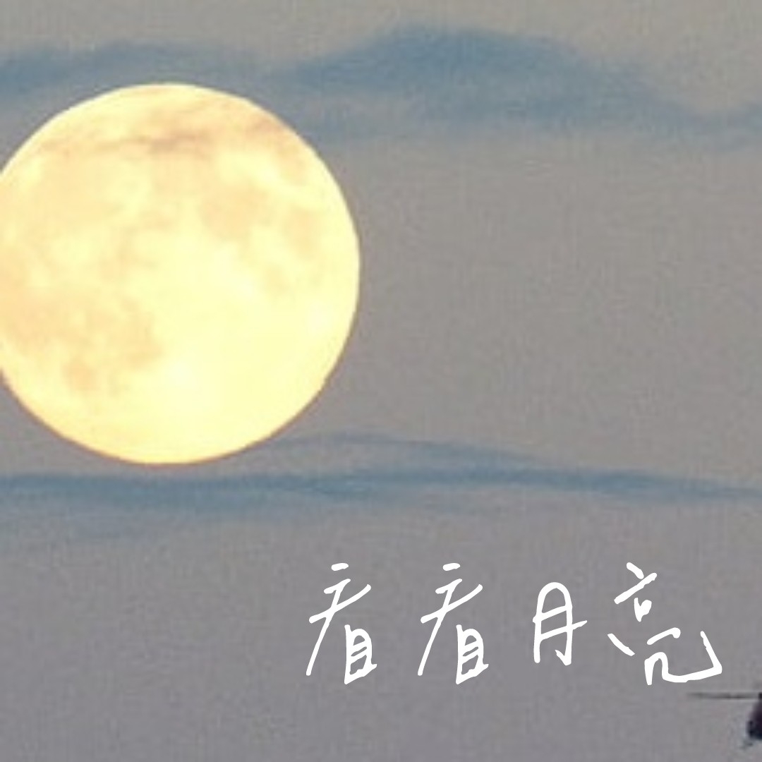 看看月亮enjoy the moon | 小宇宙 - 听播客，上小宇宙