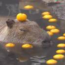 A Little Bit of Change, A Little Bit of Love - tallllllllk | 小宇宙 - 听播客，上小宇宙