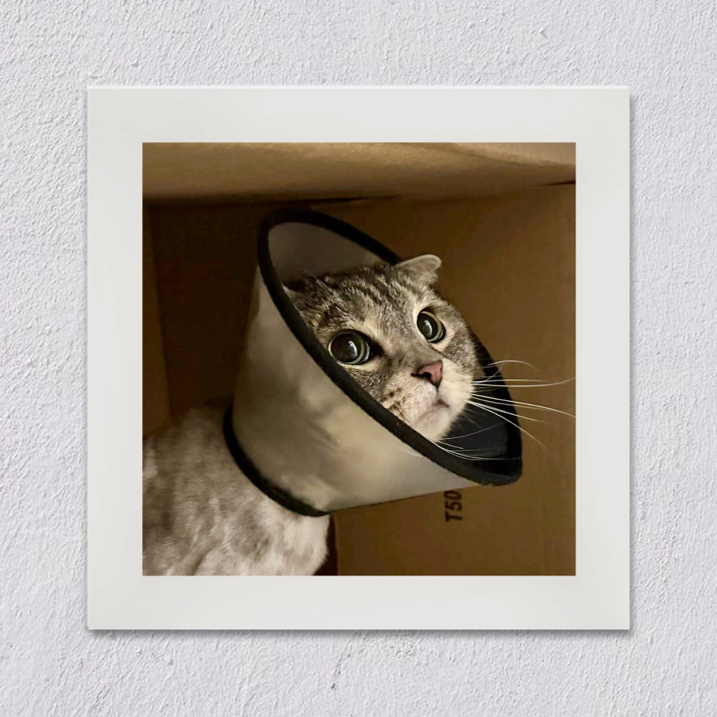 ep.013 | 停下来，为了给”前进”腾出空间 - 阿贝酱の学妹 | 小宇宙 - 听播客，上小宇宙