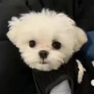 11111111111111111111 | 小宇宙 - 听播客，上小宇宙