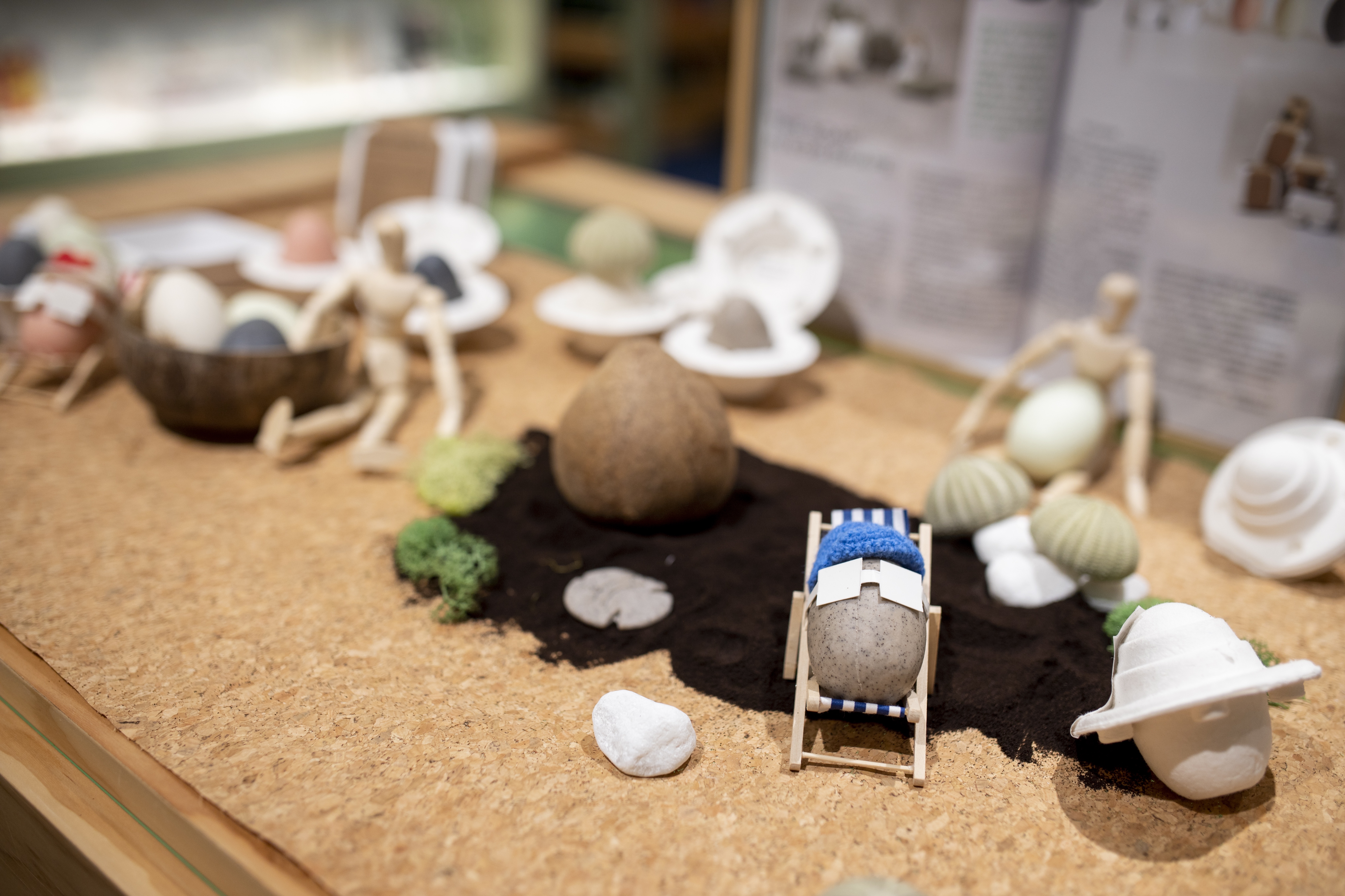 Vol.2 环保洗护新革命：SAFONE 创始人艾琳谈无塑日化未来 - 绿色极客在世界 | 小宇宙 - 听播客，上小宇宙